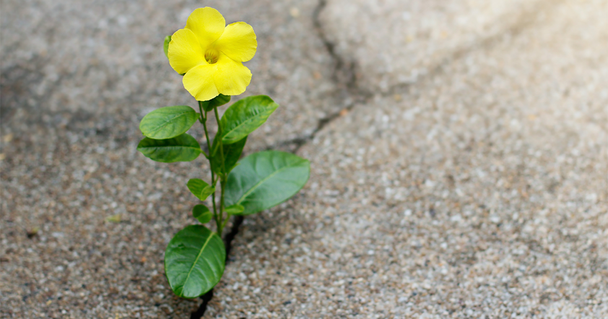 Facts About Addiction and Recovery